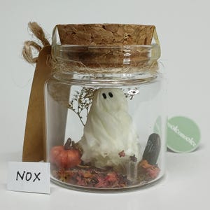 Pet Ghost in a Jar Flowy Sheet Ghost Glow in the Dark Handmade ...
