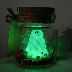 Pet Ghost in a Jar Flowy Sheet Ghost Glow in the Dark Handmade ...