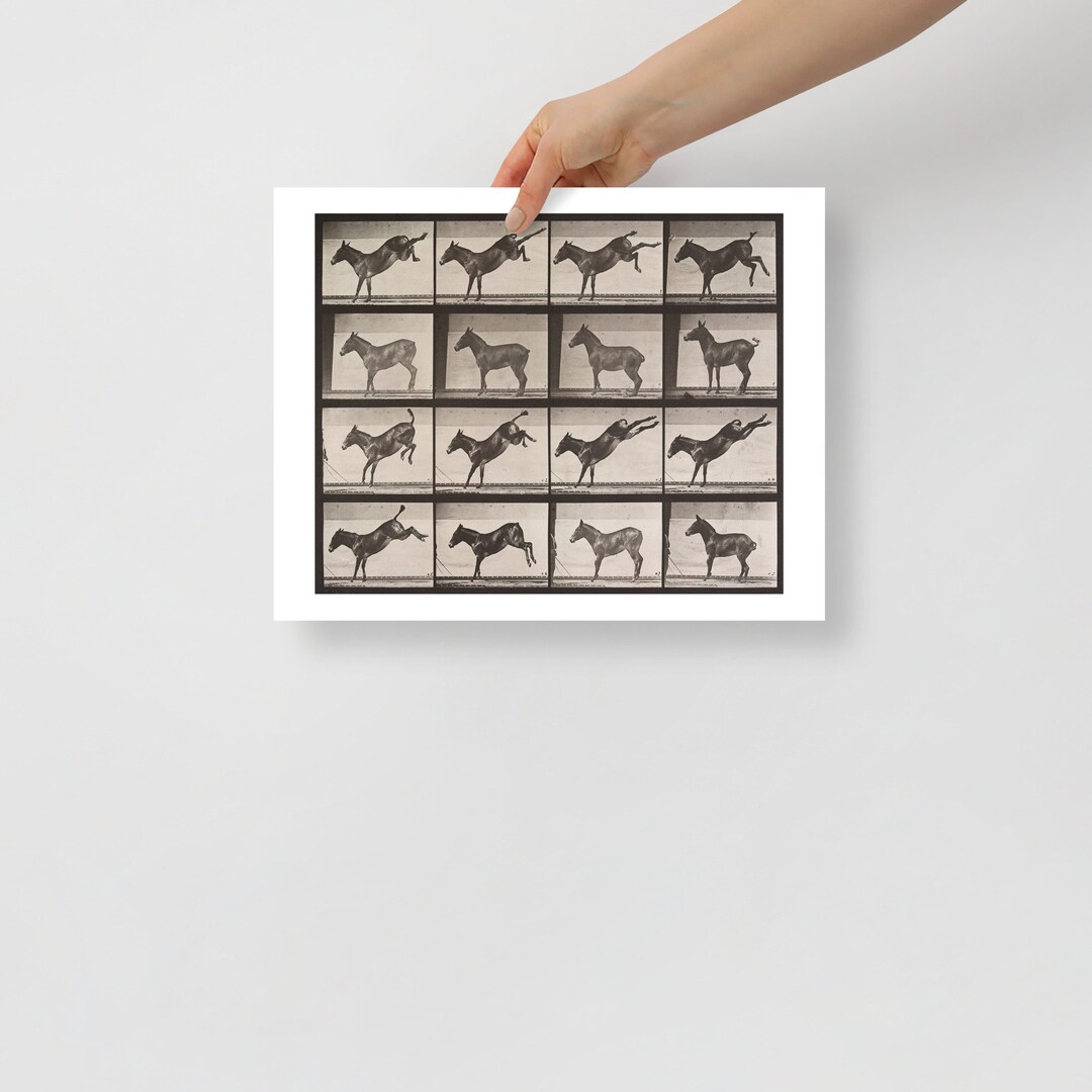 Bucking Bronco Frames Film Black and White Wall Art Poster - Etsy