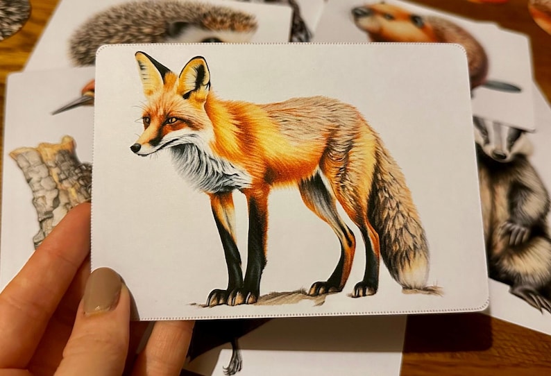 Toddler Learning Cards Fun Match up Game Homeschool Educational ...