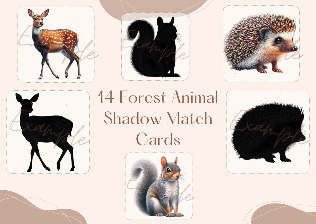 Toddler Learning Cards Silhouette Matching Game Homeschool Educational ...