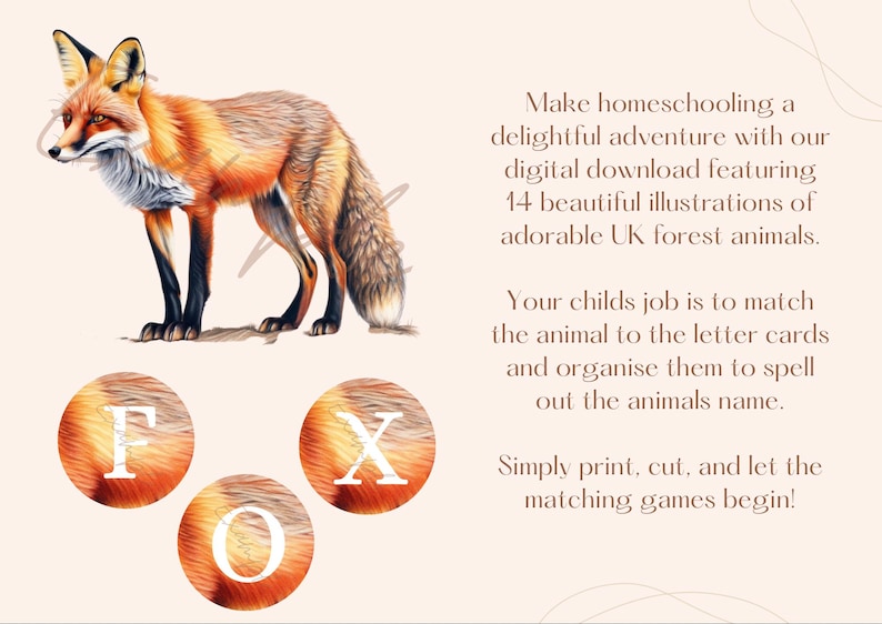 Toddler Learning Cards Fun Match up Game Homeschool Educational ...