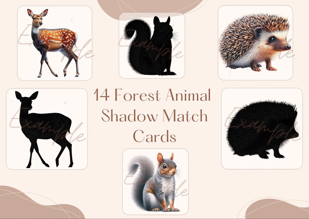 Forest Animals Shadow Match Cards, Toddler Learning Game (digital ...