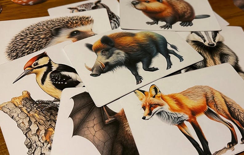 Forest Animal Spelling Cards Printable | Toddler Phonics Game ...