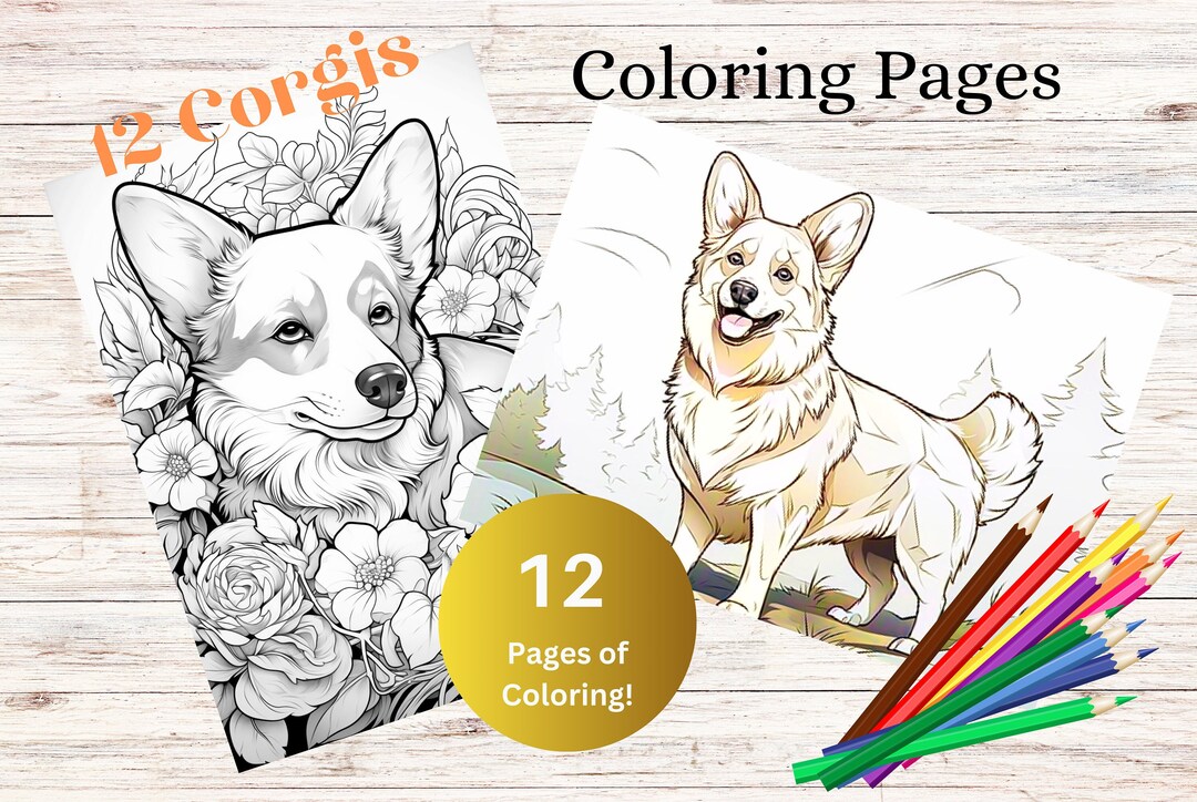 12 Corgi Coloring Page Book, Kids Adults Coloring, Instant Download ...