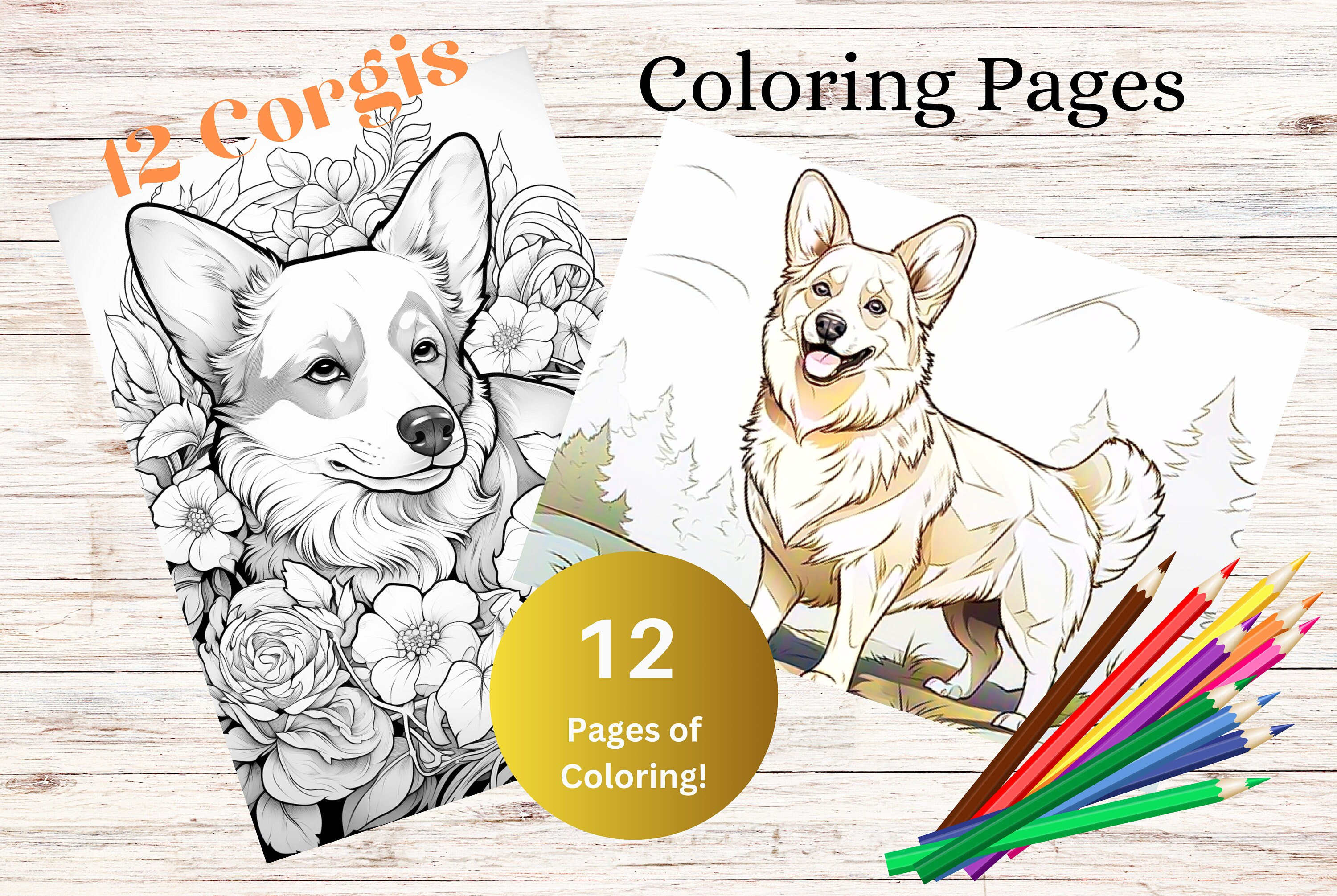 12 Corgi Coloring Page Book, Kids Adults Coloring, Instant Download ...