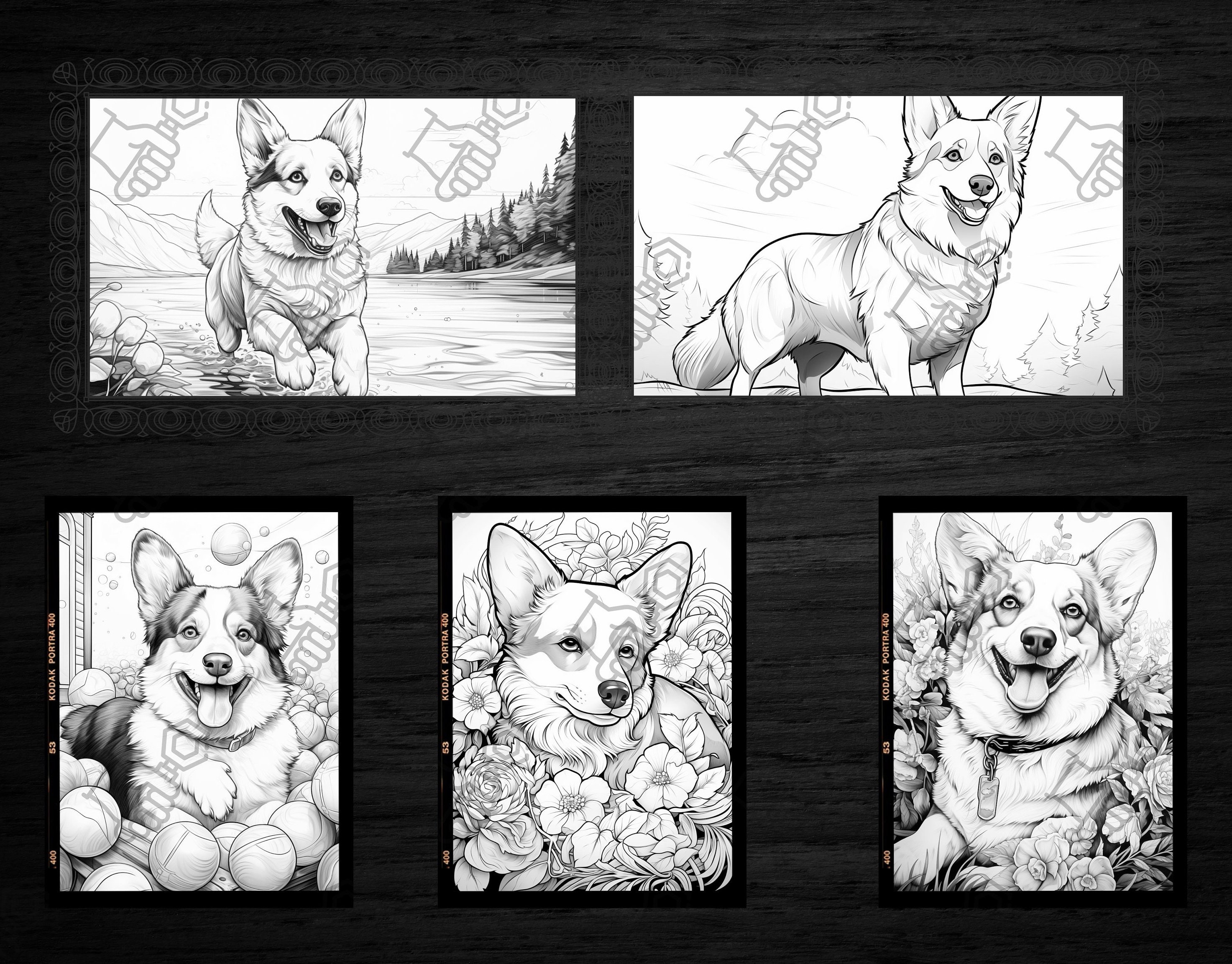 12 Corgi Coloring Page Book, Kids Adults Coloring, Instant Download ...