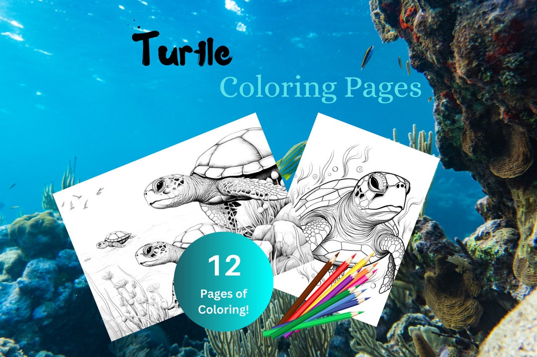 12 Turtle Coloring Page Book, Kids Adults Coloring, Instant Download ...