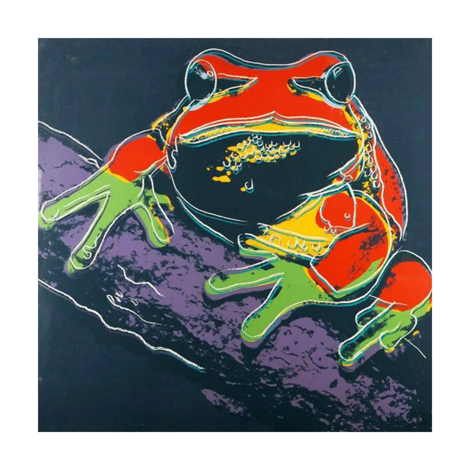 Andy Warhol "endangered Species: Pine Barrens Tree Frog" Extremely Rare ...