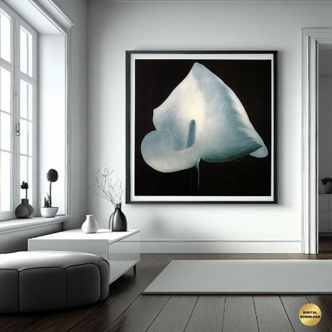 Robert Mapplethorpe: "calla" Extremely Rare Print; Photograph 1988 ...