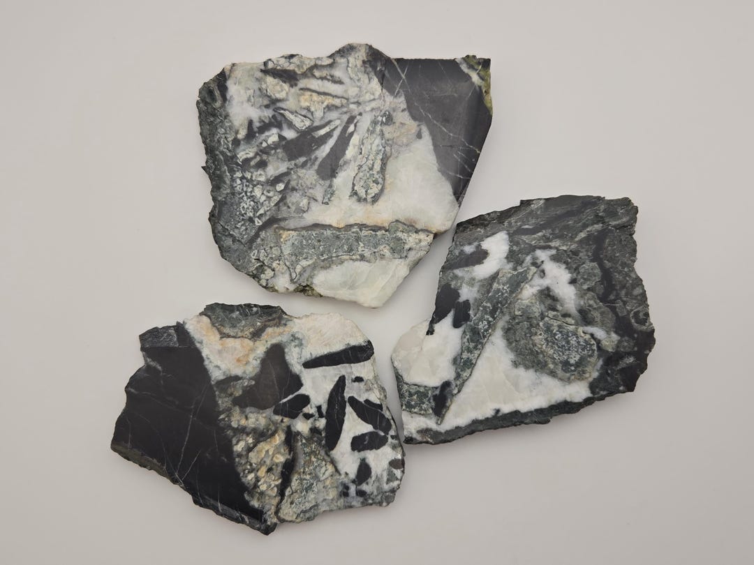 Black Beauty Dallasite Slab - New Specimen Extremely Rare Vancouver ...