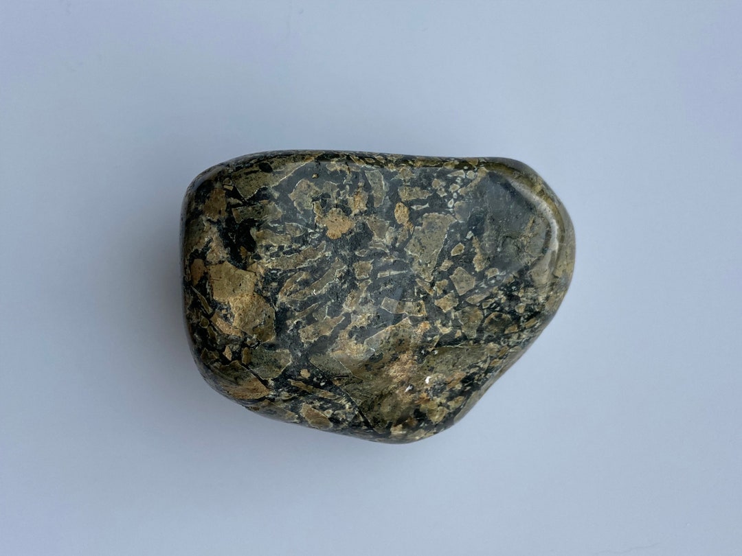 Dallasite Breccia Tumbled Stone Rare Vancouver Island - Etsy