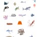 Layers of the Ocean Worksheet - Etsy