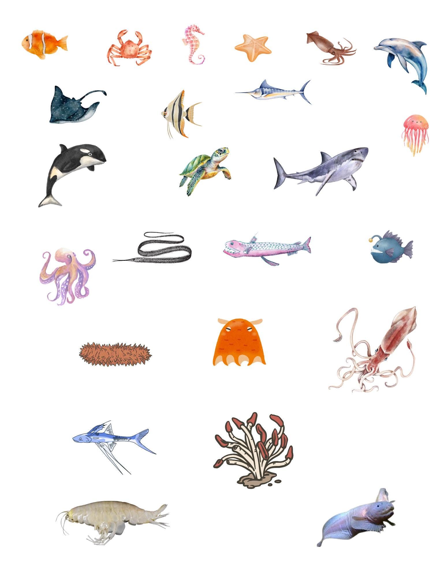 Layers of the Ocean Worksheet - Etsy