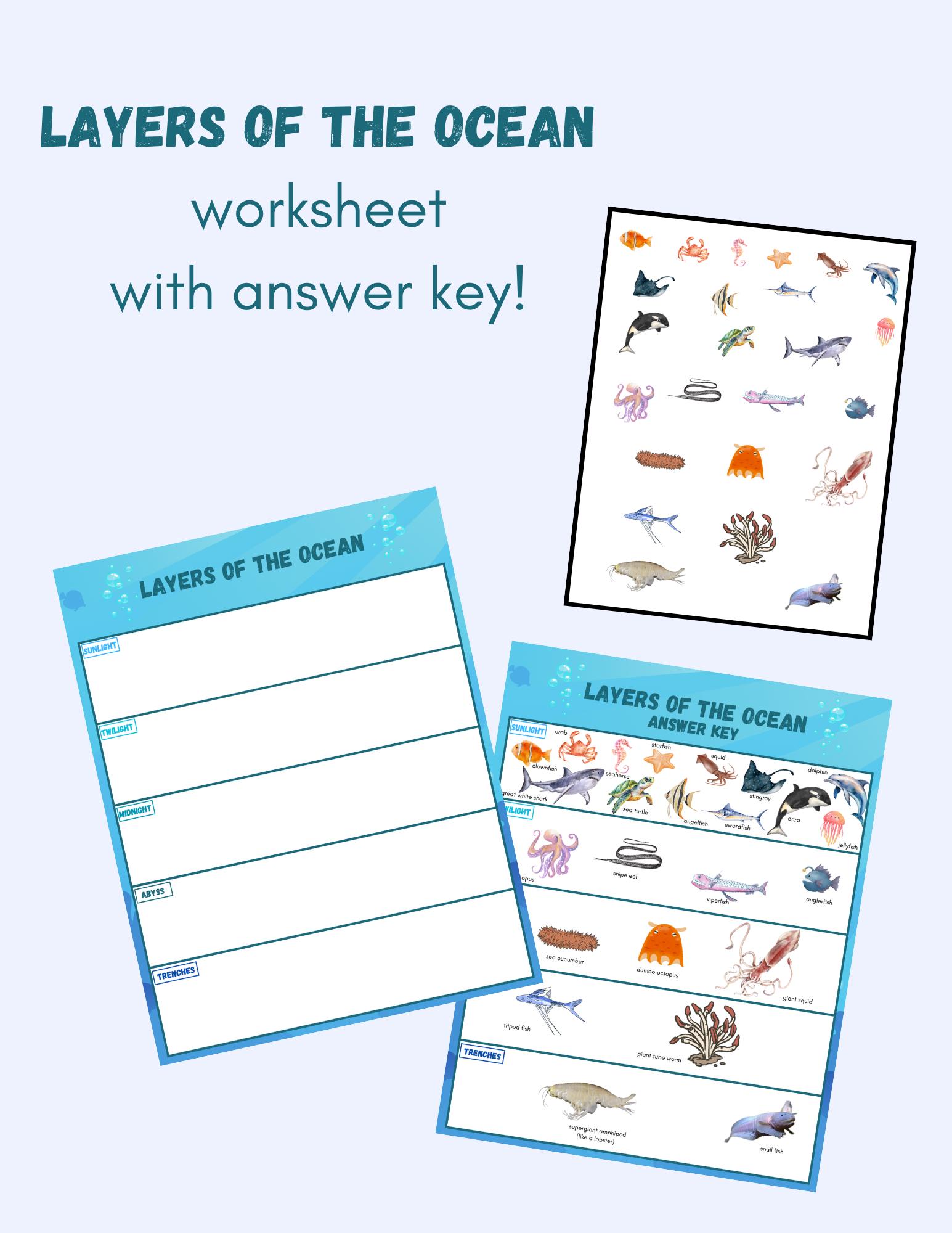 Layers of the Ocean Worksheet - Etsy