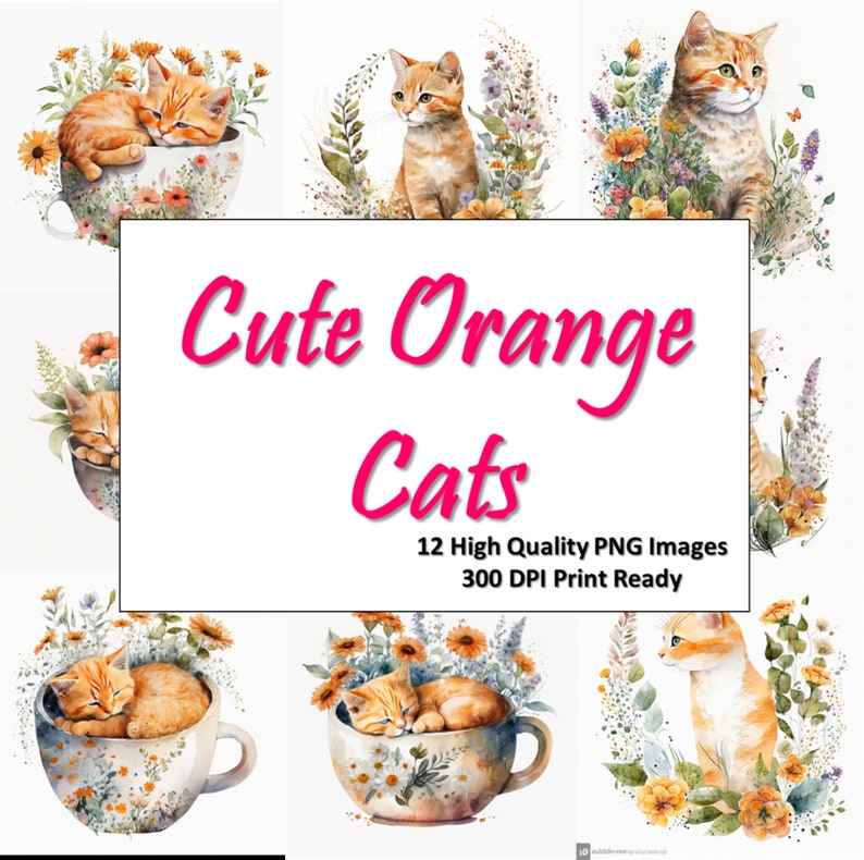Watercolor Orange Cats Clipart! Set of Adorable Floral Tabby Cats ...
