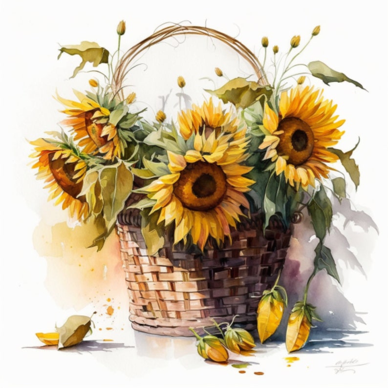 Watercolor Sunflowers Clipart Stunning Bouquets of Autumnal Sunflowers ...