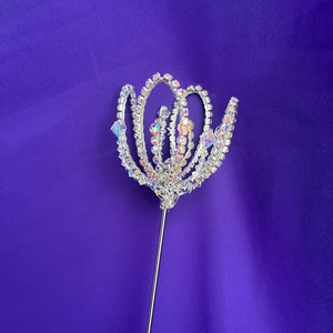 Professional Ballet Wand. Nutcracker, Sugar Plum Fairy, Wand, Sleeping ...