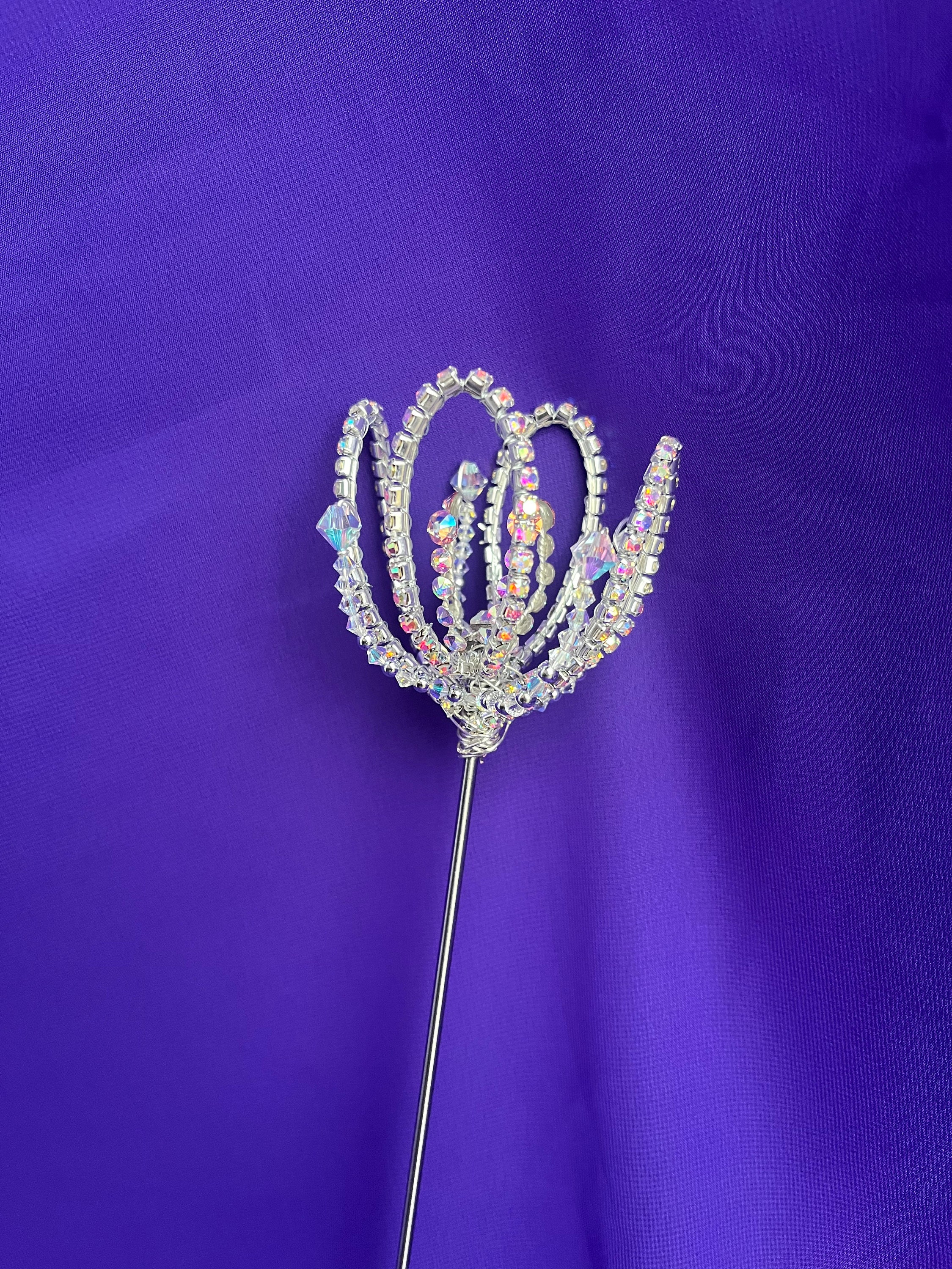 Professional Ballet Wand. Nutcracker, Sugar Plum Fairy, Wand, Sleeping ...