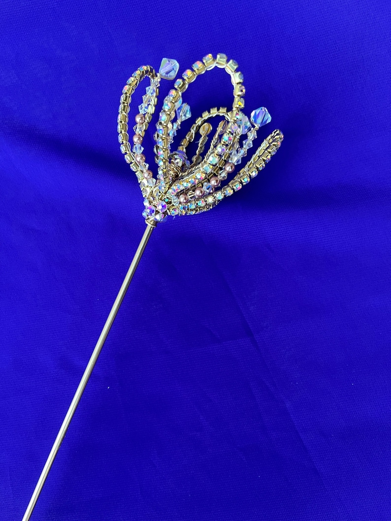 Professional Ballet Wand. Nutcracker, Sugar Plum Fairy, Wand, Sleeping ...