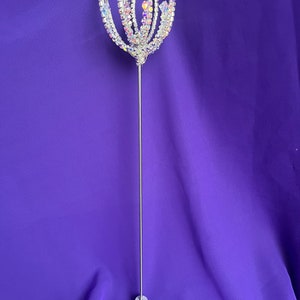 Professional Ballet Wand. Nutcracker, Sugar Plum Fairy, Wand, Sleeping ...