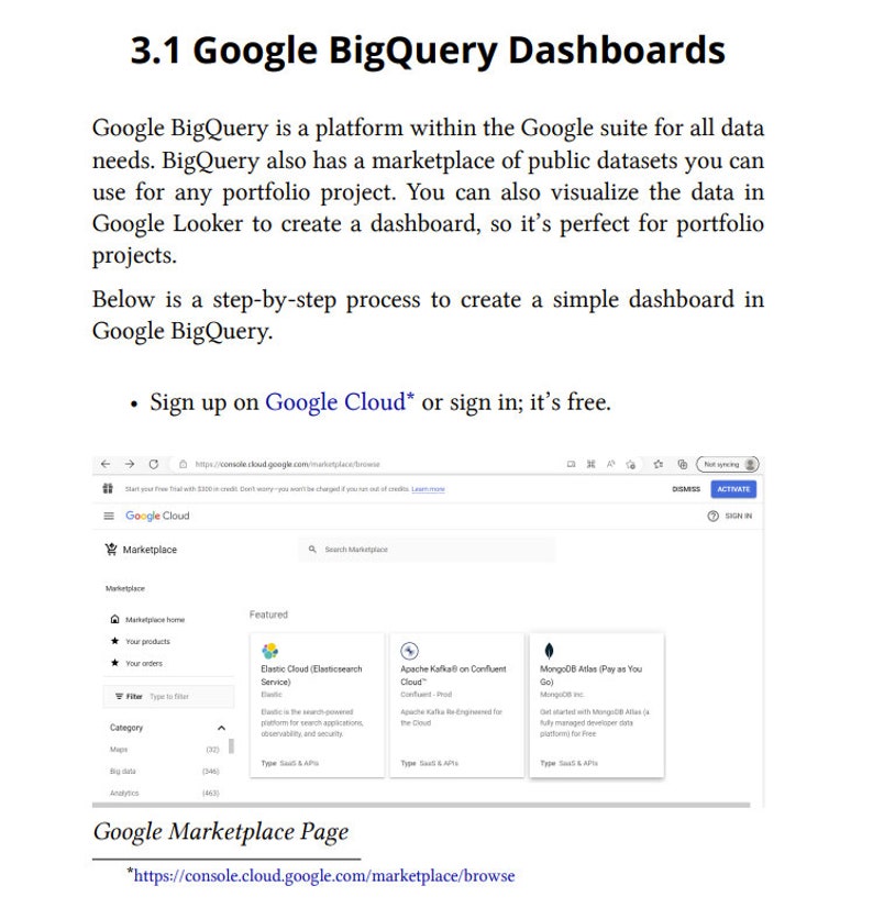 Data Portfolio Guide for Aspiring Data Analyst - Etsy