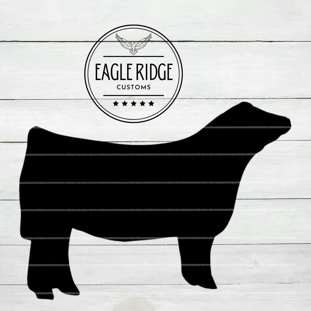 Show Steer SVG Digital Download Show Steer Silhouette Livestock SVG PNG ...