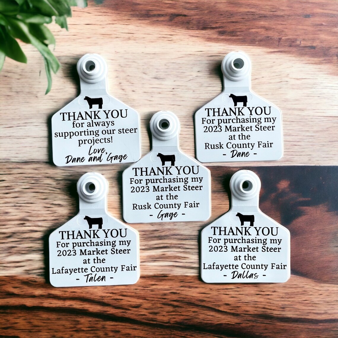 Custom Ear Tag Keychain-thank You County Fair-stockman - Etsy Canada