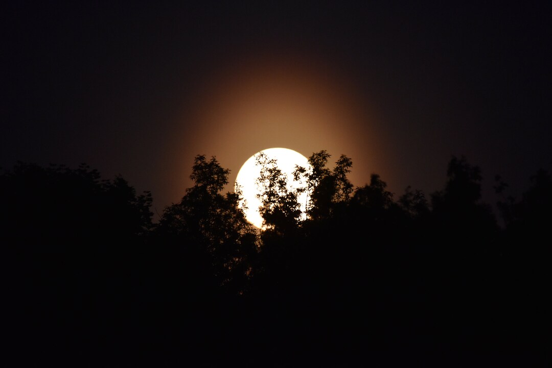 Digital Print - Full Moon Rising Through Trees in Smoky Skys 2 ...