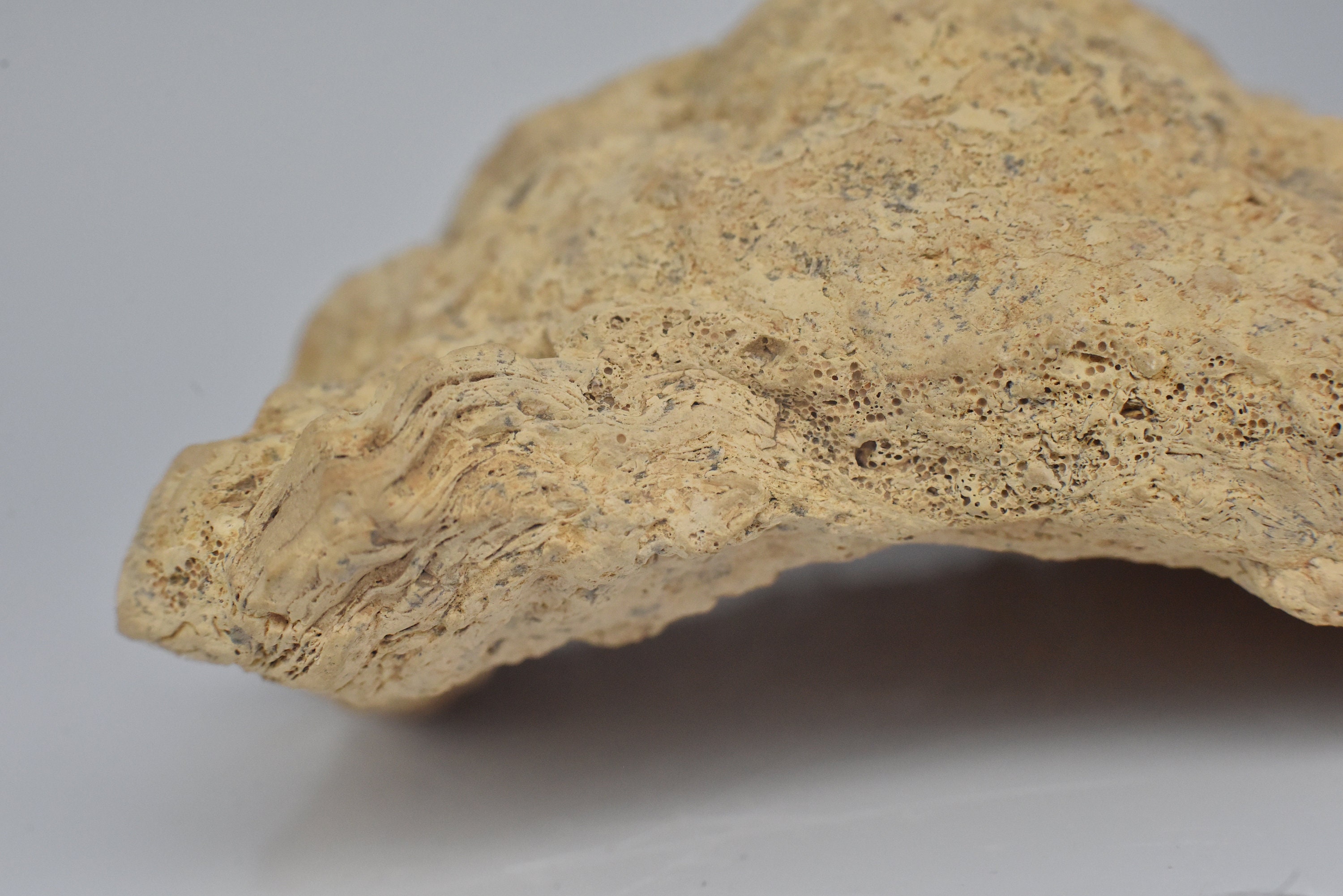 Oolitic Limestone Sedimentary Rock