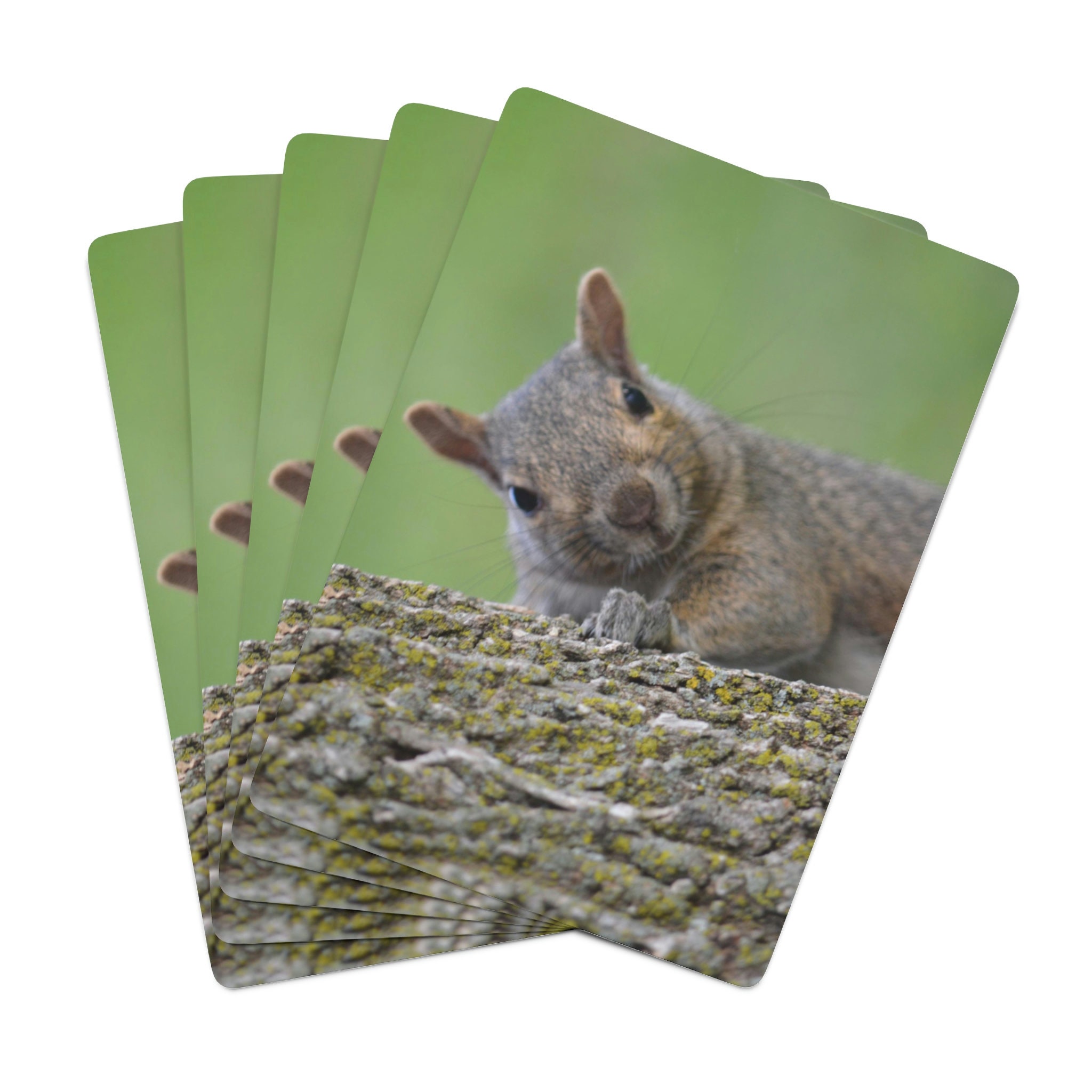 Poker Cards : Out of Focus Squirrel Playing Cards - Etsy