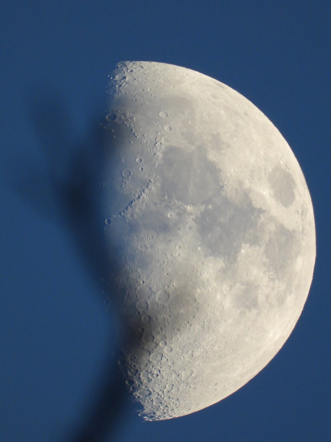 Digital Print - Half Moon Rising at Dusk Behind Tree ; DIGITAL DOWNLOAD ...