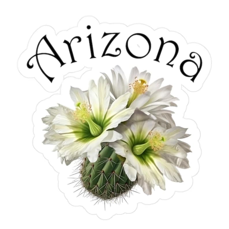 Arizona State Flower, the Saguaro Cactus Blossom - Kiss-cut Vinyl ...