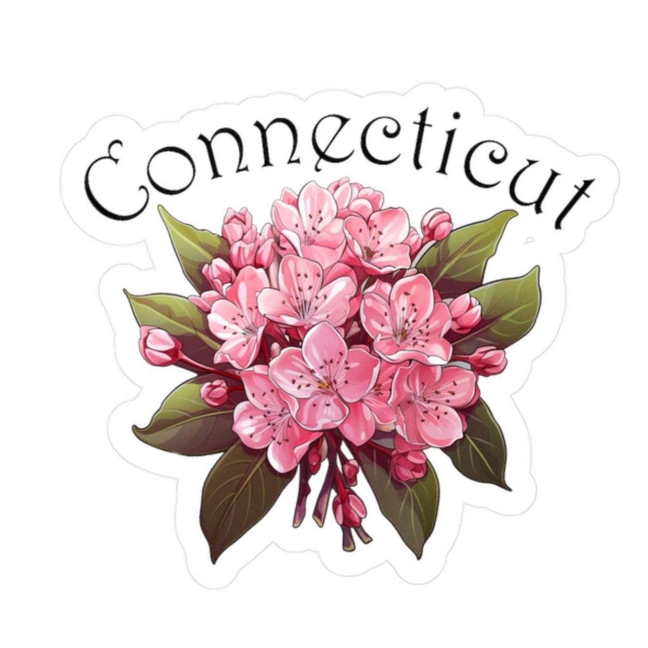 Connecticut State Flower, Mountain Laurel - Kiss-cut Vinyl Decals ...