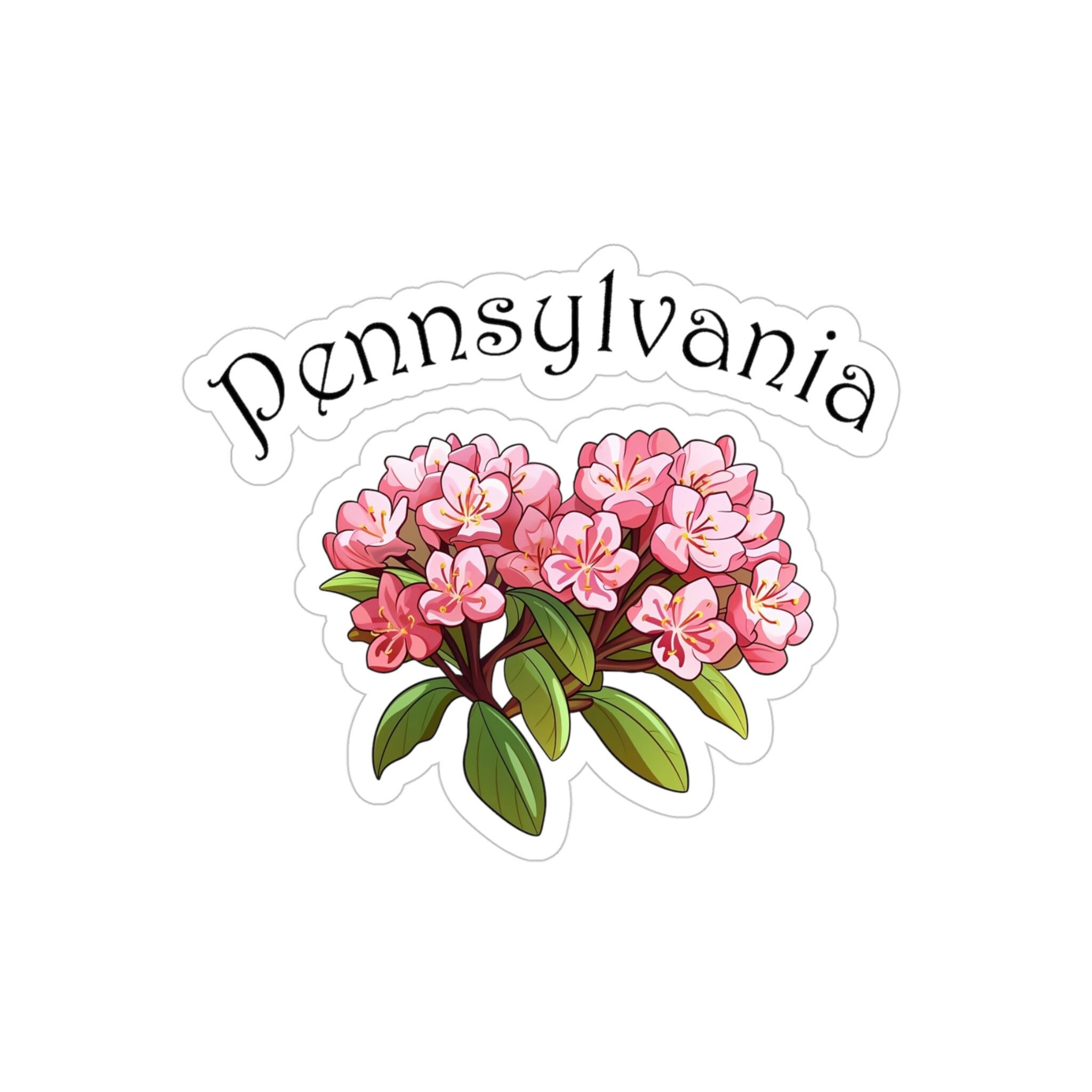Pennsylvania Mountain Laurel, PA State Flower - Transparent Outdoor ...