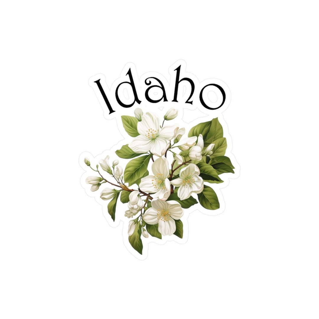 Idaho Syringa State Flower Vinyl Sticker - Show Your Love for Idaho's ...