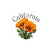 California State Flower, the California Poppy - Kiss-cut Vinyl Decals ...