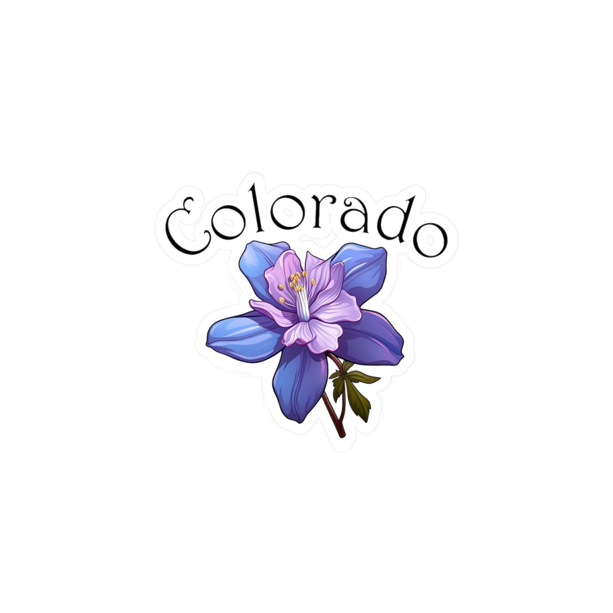 Colorado State Flower Tattoo