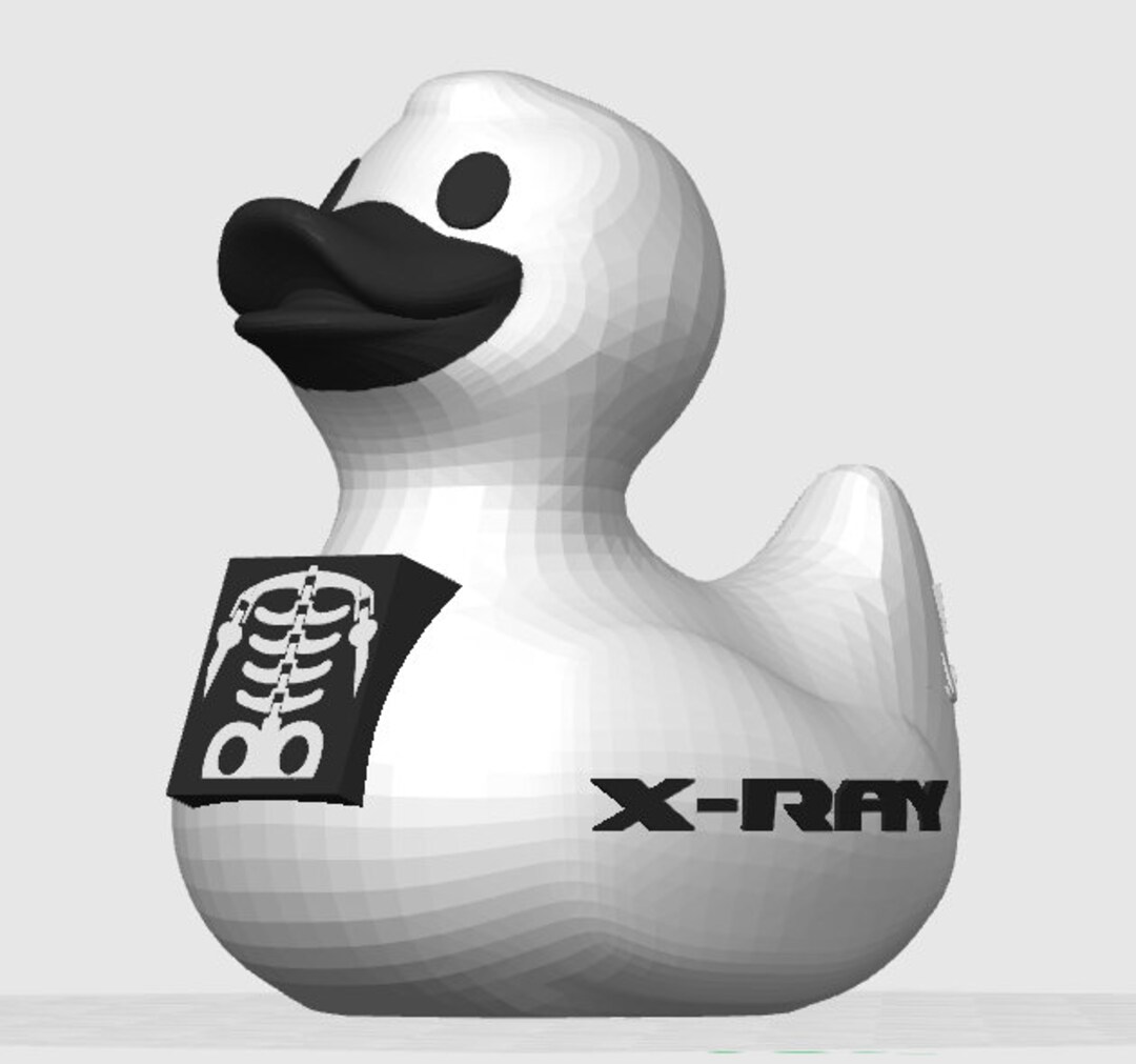 X-ray Duck - Etsy