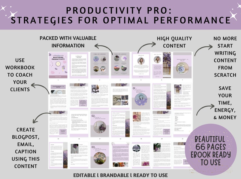 Boosting Productivity Brandable Done for You Ebook, Productivity ...