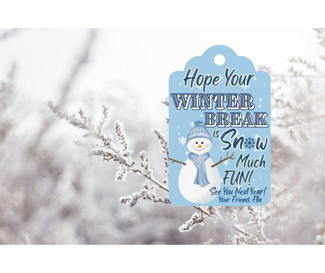 12 Winter Break Tags, Favor Tags, Thank You, Gift Tags, Seasonal ...