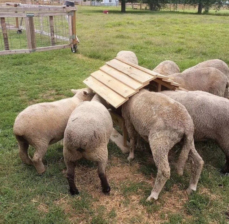 Covered Sheep & Goat Mineral Feeder Plans: DIY Build (digital Download ...