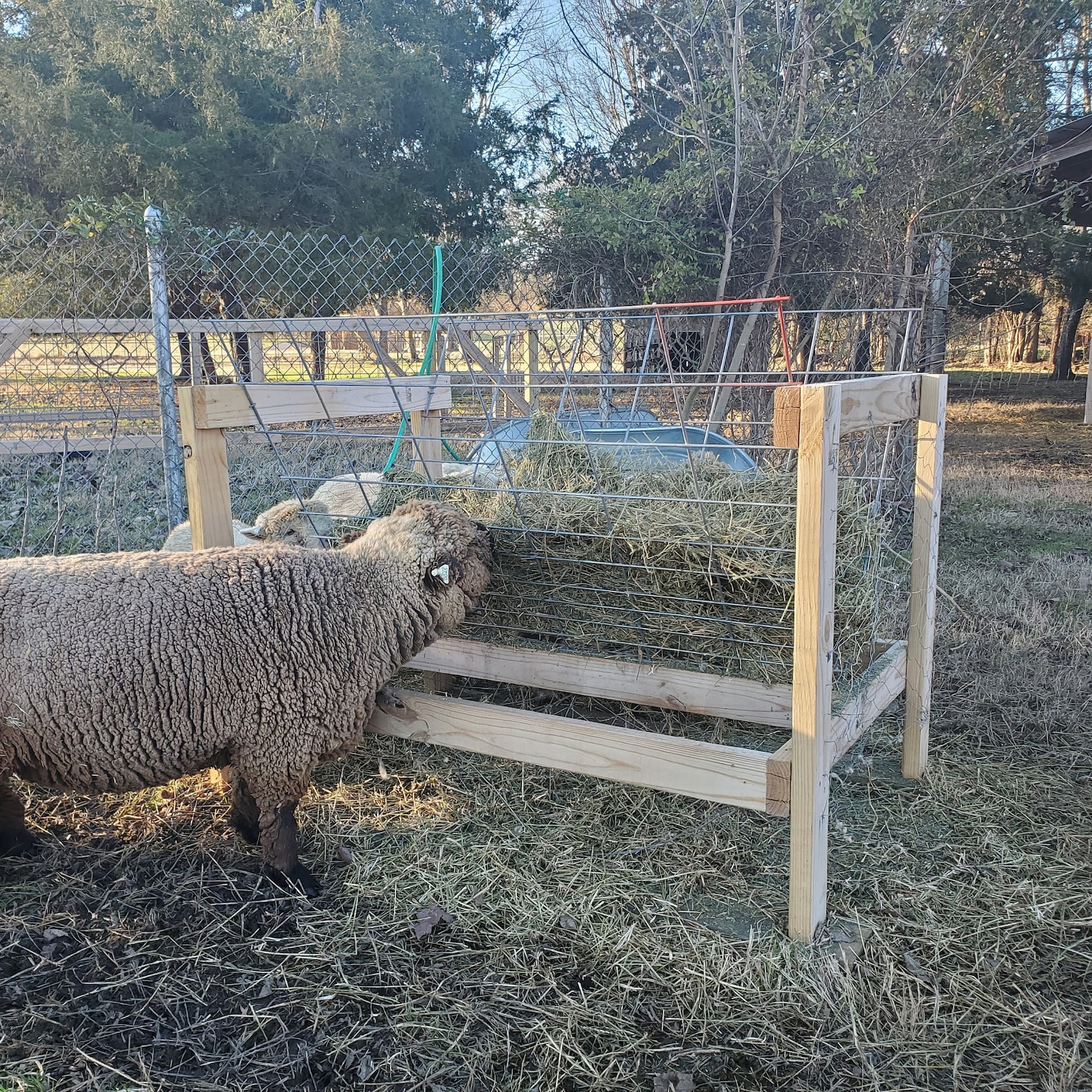 Plans and Instructions for Building a High Efficiency Sheep and Goat ...