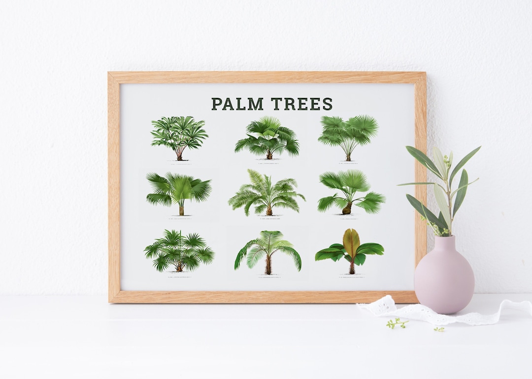 Set of 2 Palm Tree Species Posters, Landscape and Portrait, Digital ...