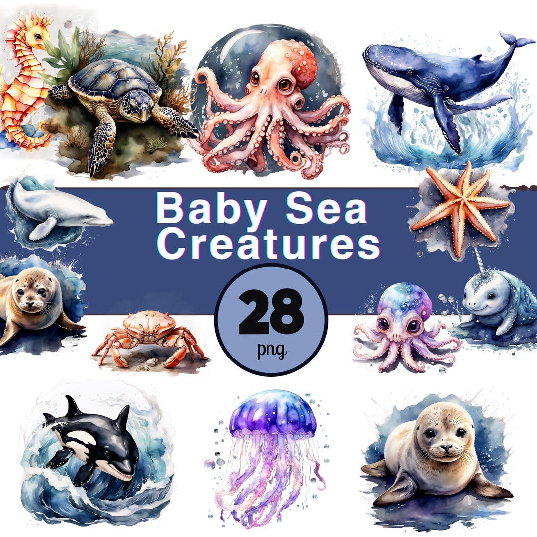 Watercolor Baby Sea Creature Clipart Bundle – Ocean Animal PNG, Whale ...