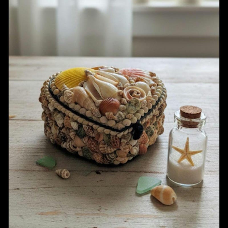 Seashell Jewelry Box - Etsy