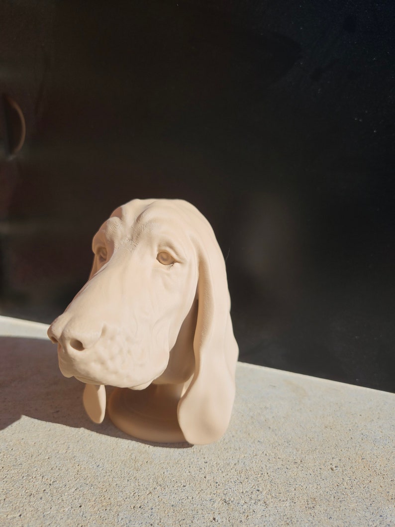 Basset Hound Bust 3d-printed - Etsy