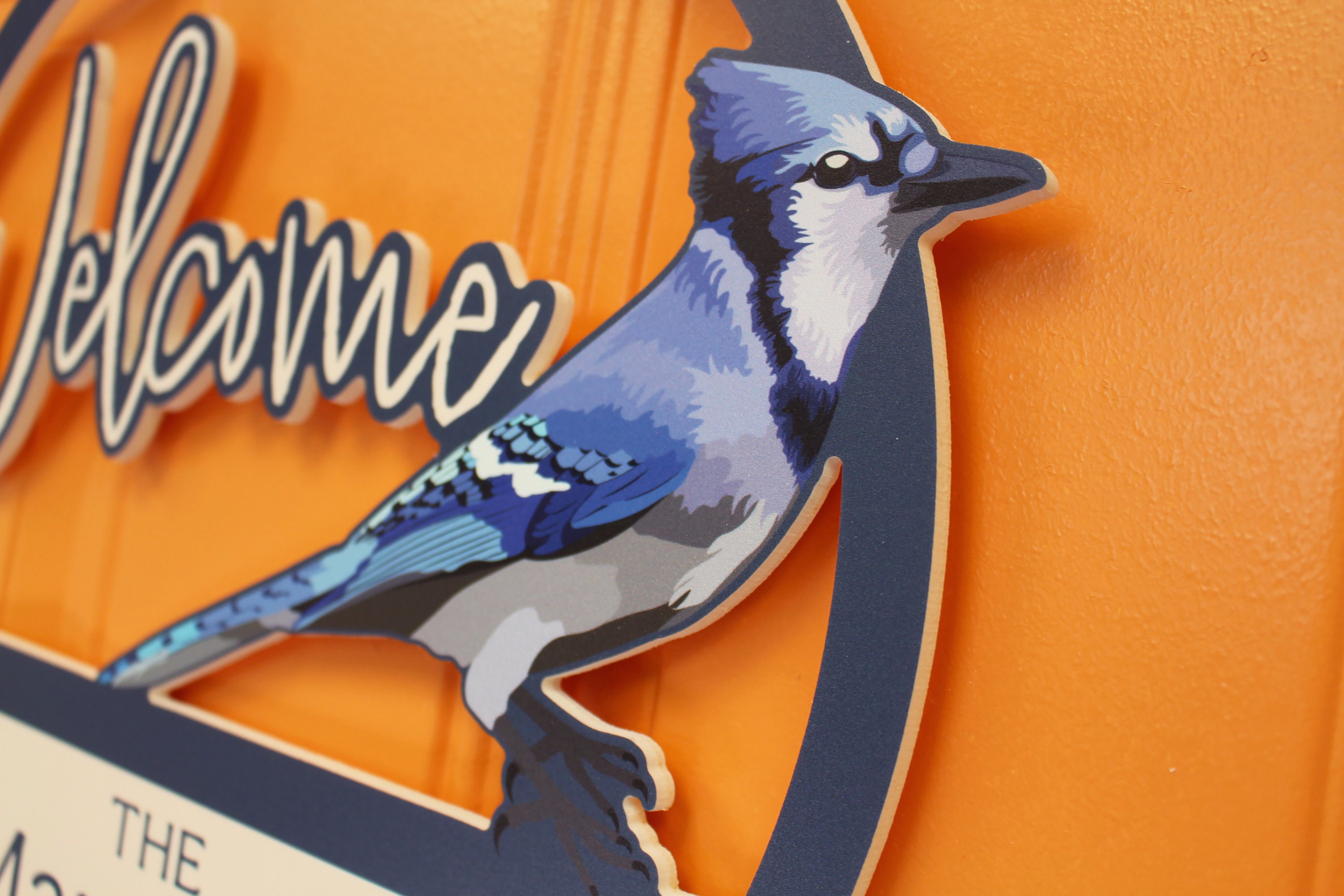 Blue Jay Door Hanger for Porch Front Door Sign With Blue Jay - Etsy