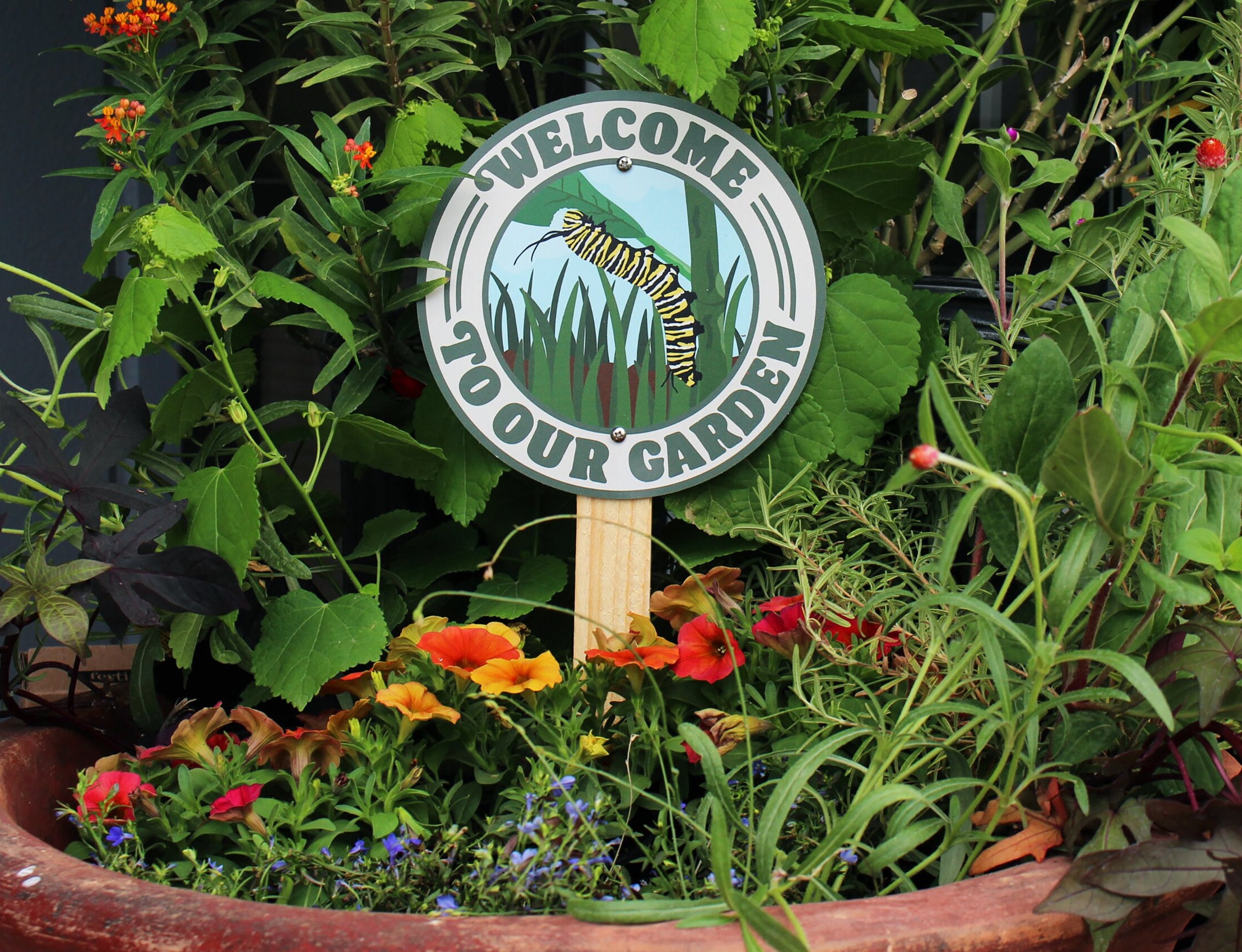 Monarch Caterpillar Garden Sign Welcome Garden Sign - Etsy