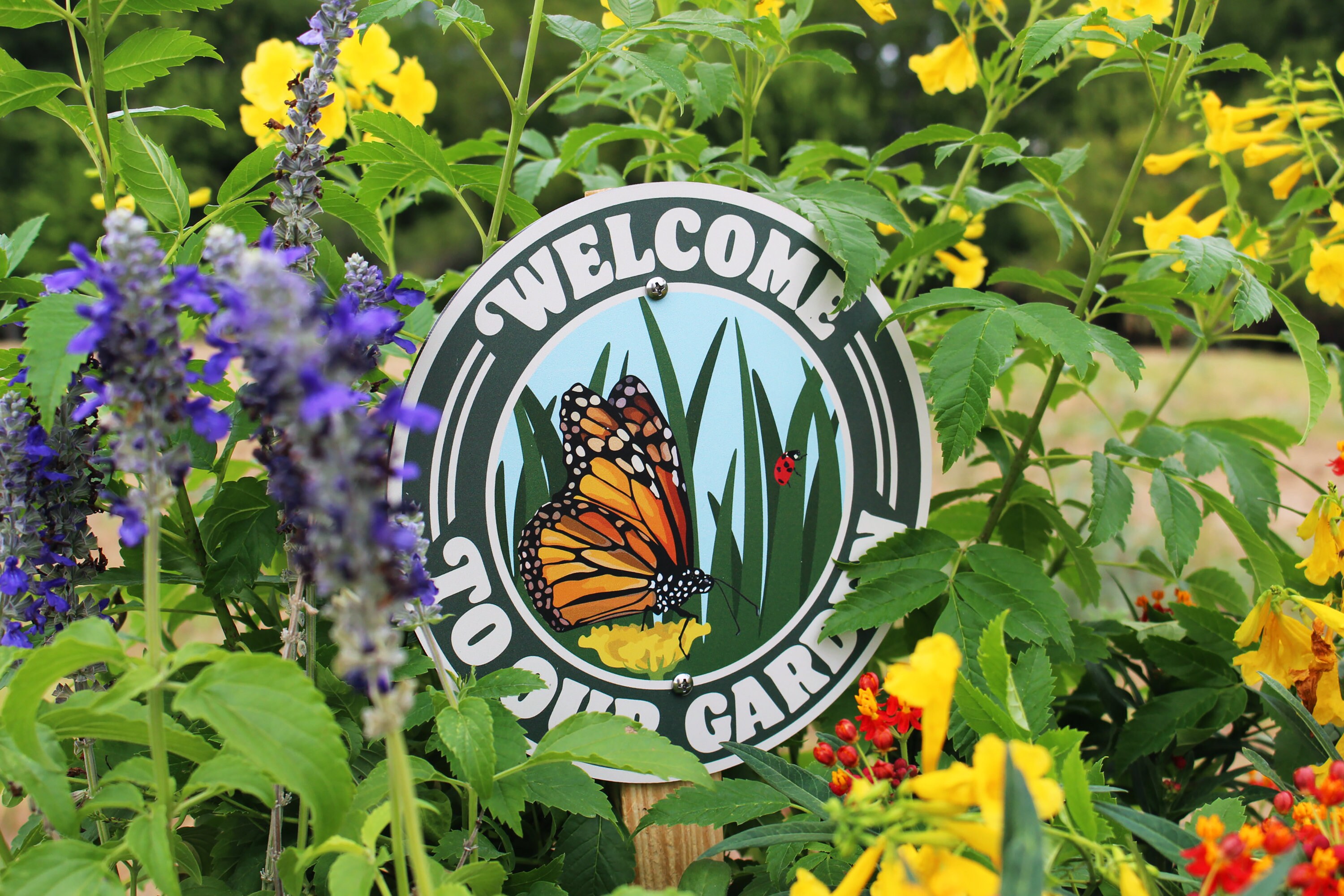 Monarch Garden Sign Welcome Garden Sign Victory Garden - Etsy
